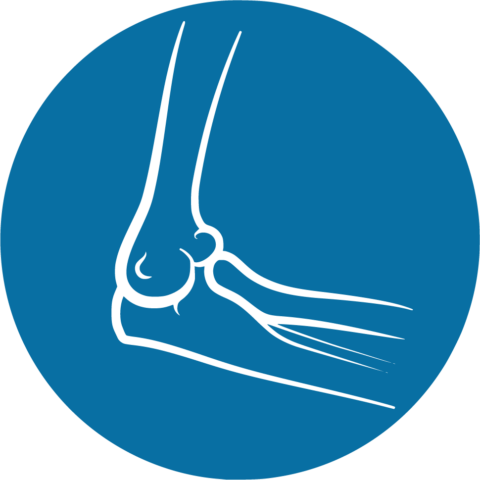Ellbogen - Physiotherapie Steininger